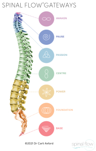 Spinal Flow Healing Studio – Certified Spinal Flow Practitioner